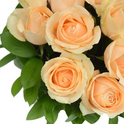 Rose Peach - Bulk and Wholesale – Bunches Direct USA